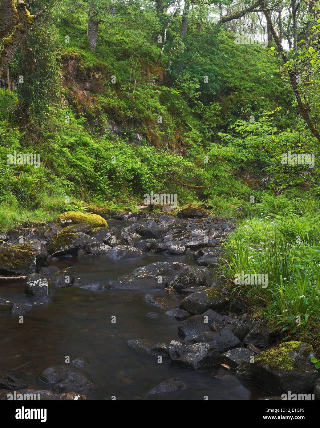 Exploring beauty nature through water hi-res stock photography and ...