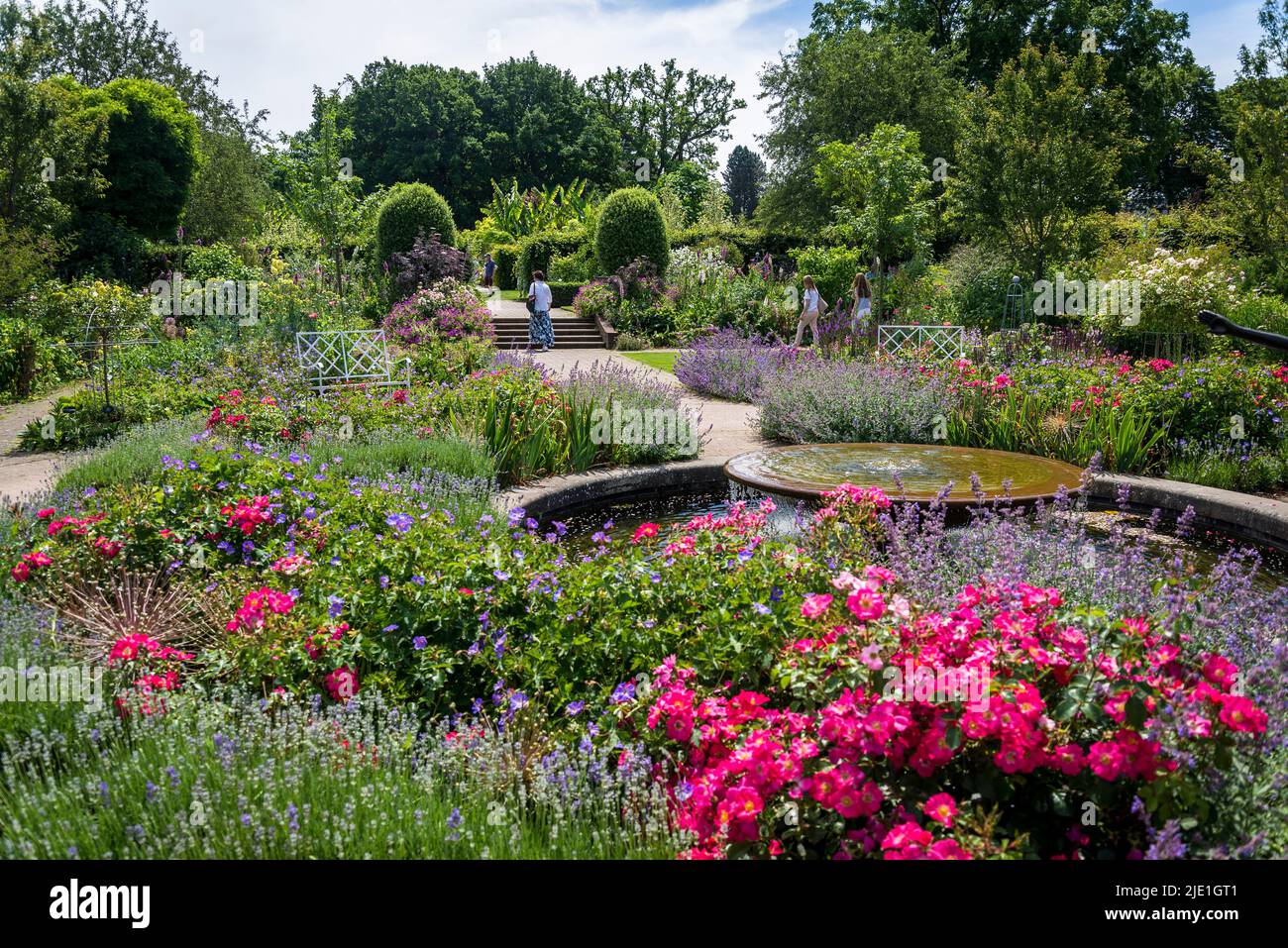 Water fountain in Cottage Garden in June, RHS Wisley Gardens, Surrey ...