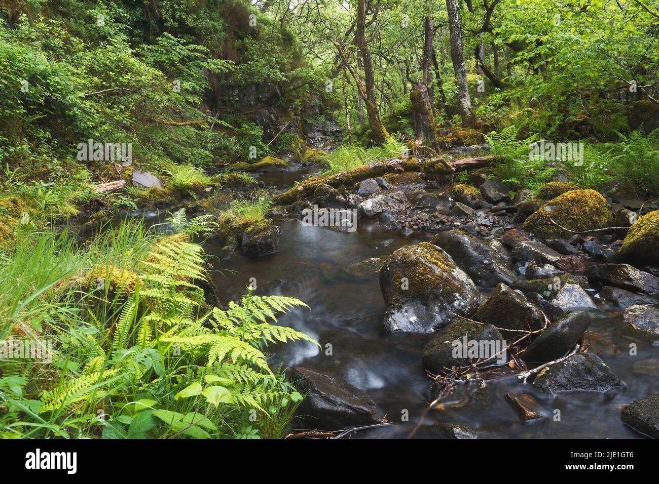 Exploring beauty nature through water hi-res stock photography and ...