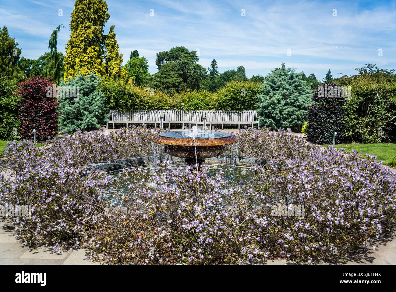 Water fountain, RHS Wisley Gardens, Surrey, England, UK Stock Photo - Alamy