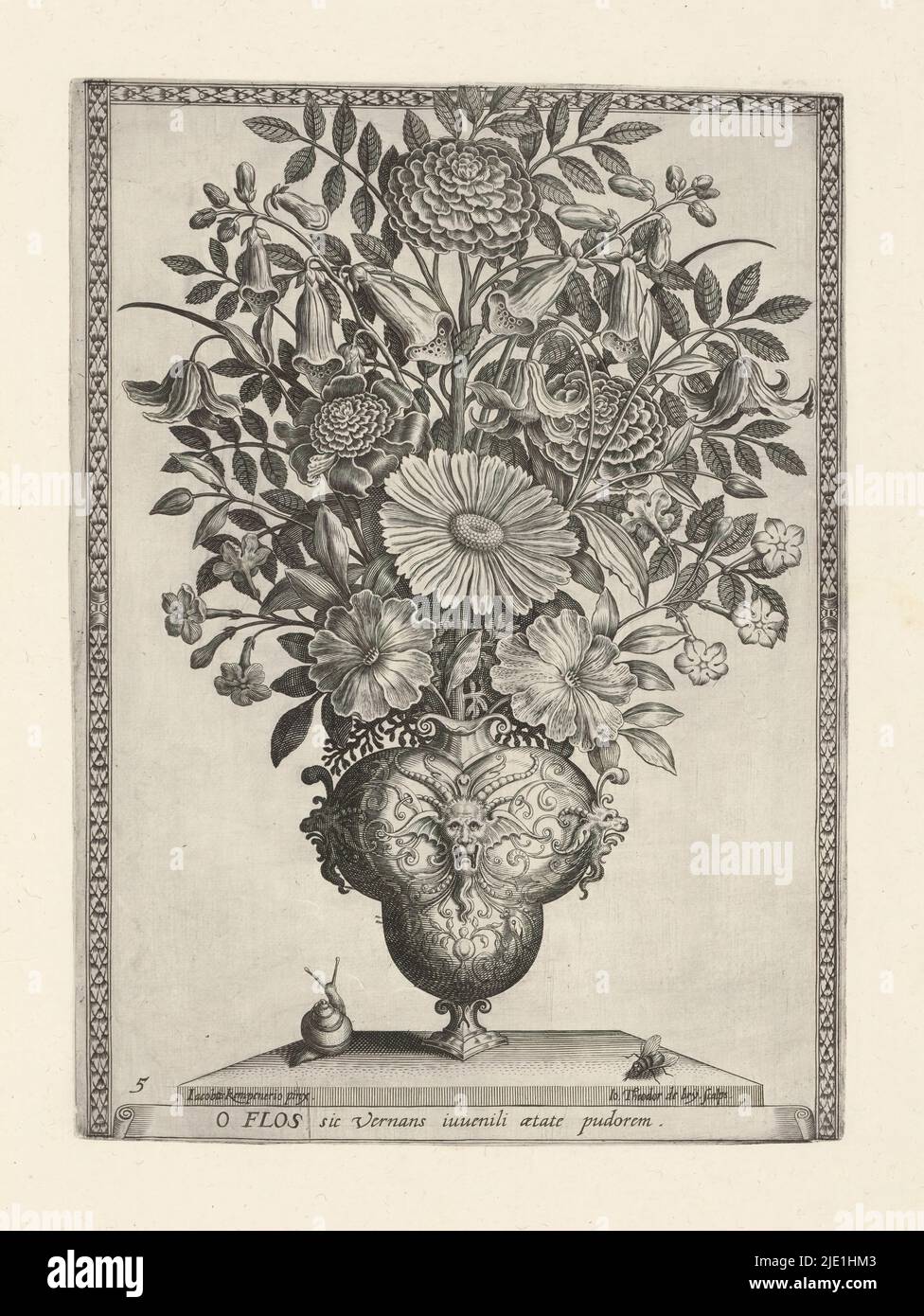 Polyptoton de flore hi-res stock photography and images - Alamy