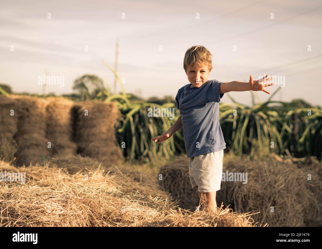 Boy smile play dance grimace show off blue t-shirt stand on haystack ...