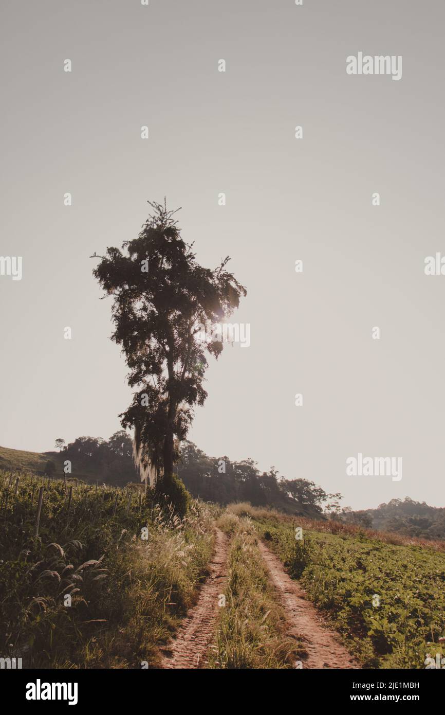 Lonely environment hi-res stock photography and images - Alamy