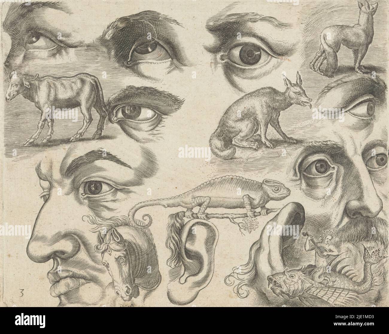 Study sheet with drawing examples: eyes, heads and animals, Drawing ...