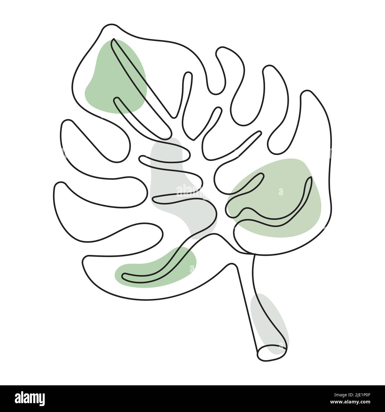 Palm tree, fern line vector. Botanical prints boho vector for wall art ...