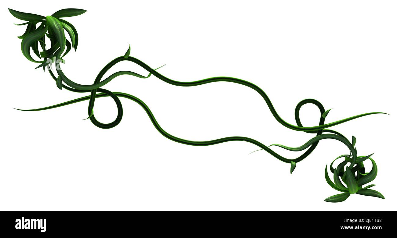 Plant vines green growing twisting interlink, 3d illustration ...