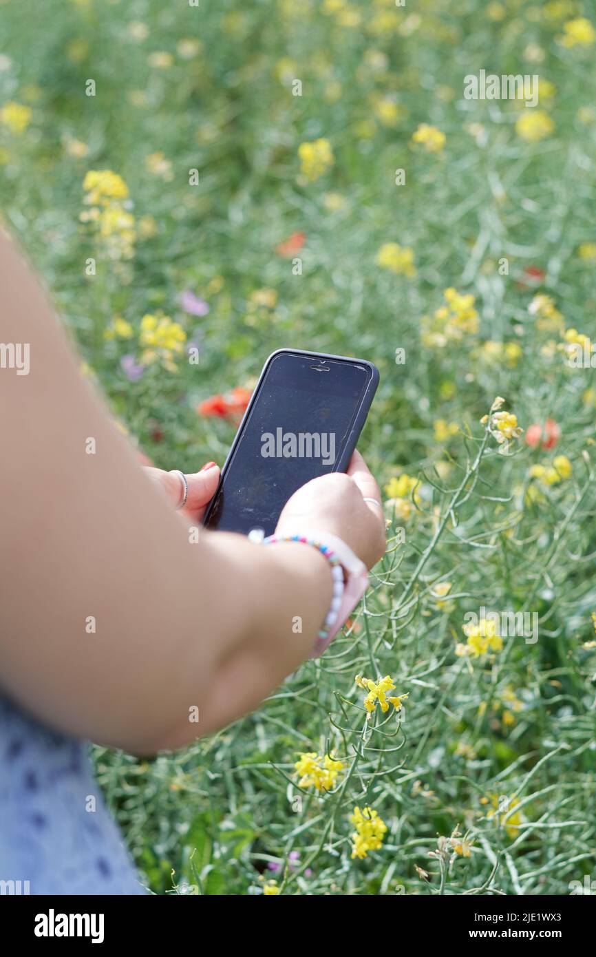 Hand smartphone photo photography camera hi-res stock photography and ...