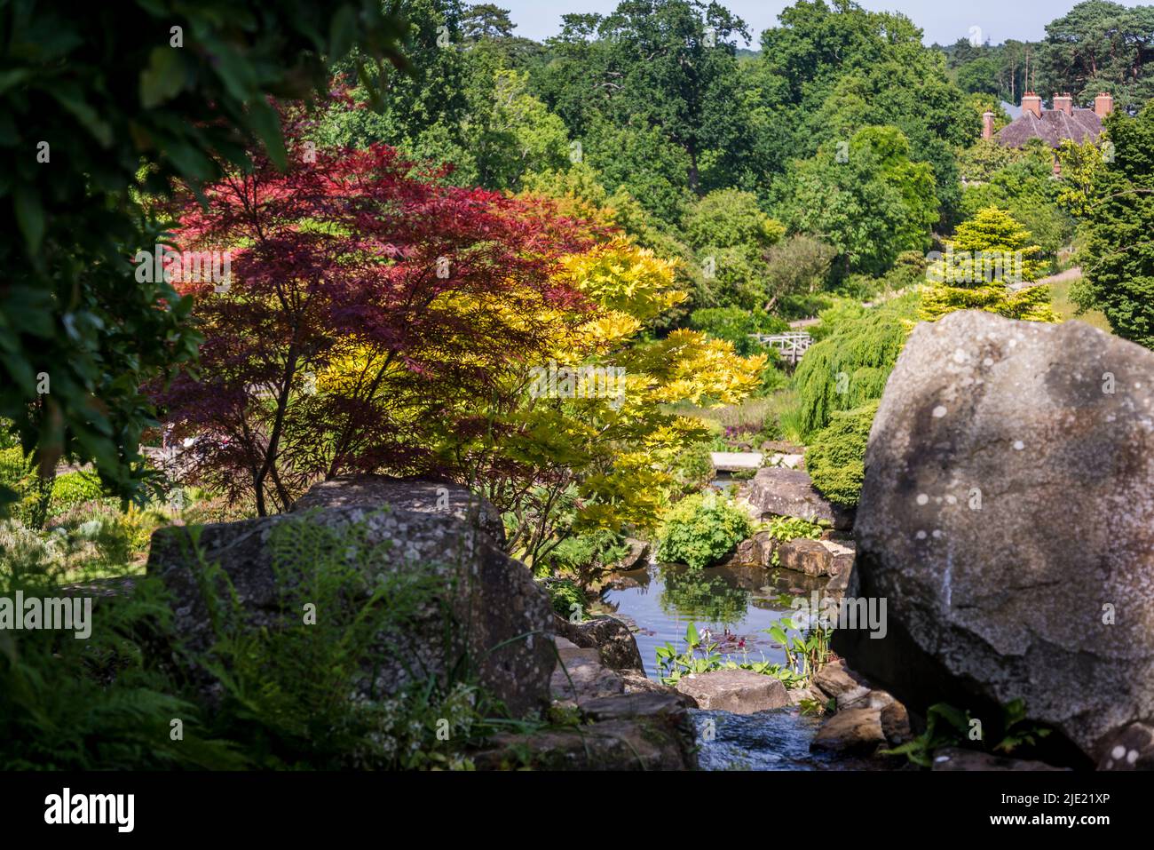The Rock Garden, RHS Wisley Gardens, Surrey, England, UK Stock Photo ...