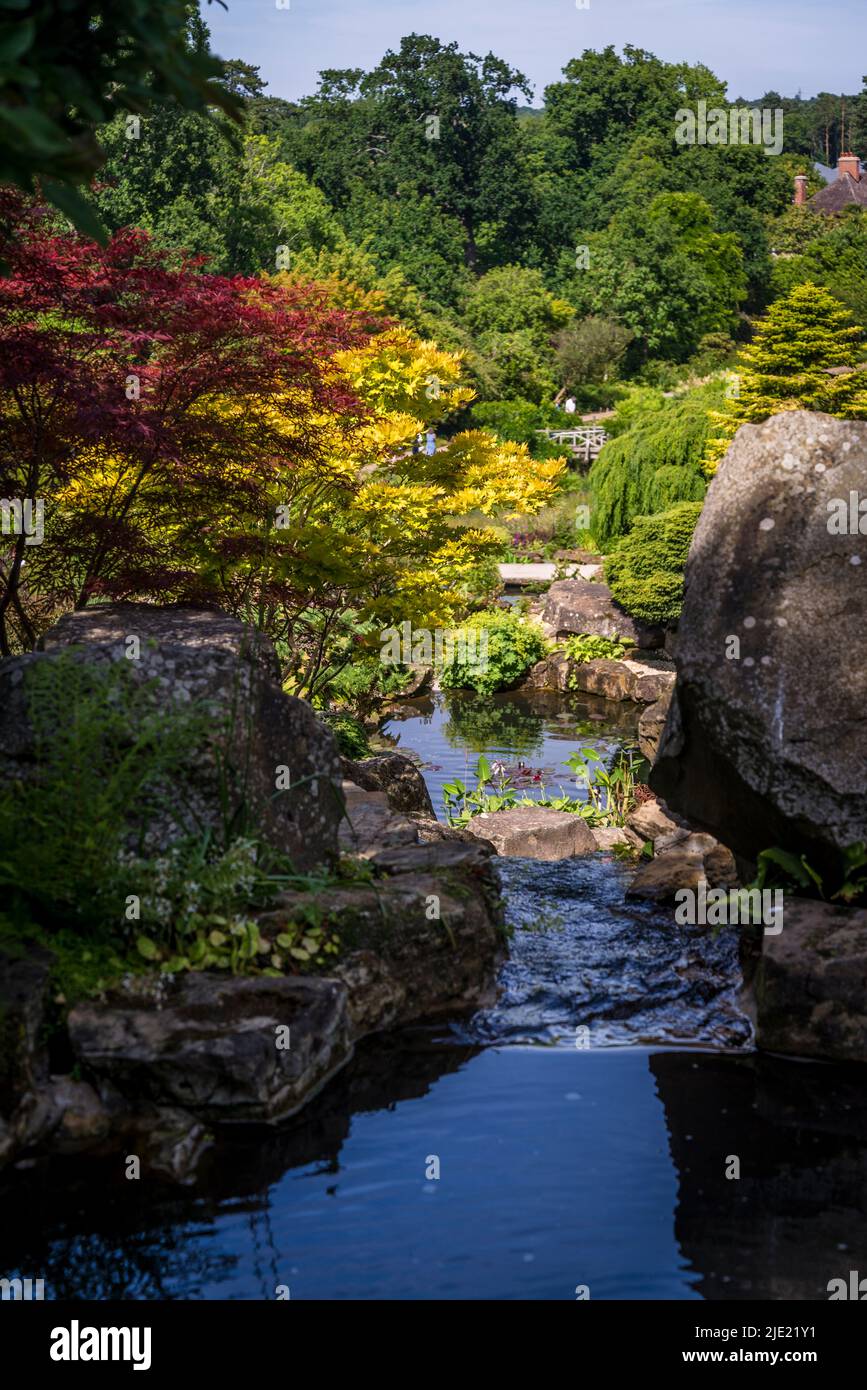 The Rock Garden, RHS Wisley Gardens, Surrey, England, UK Stock Photo ...