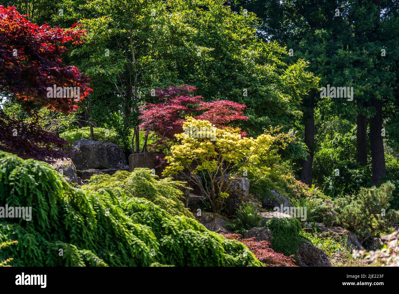 The Rock Garden, RHS Wisley Gardens, Surrey, England, UK Stock Photo ...