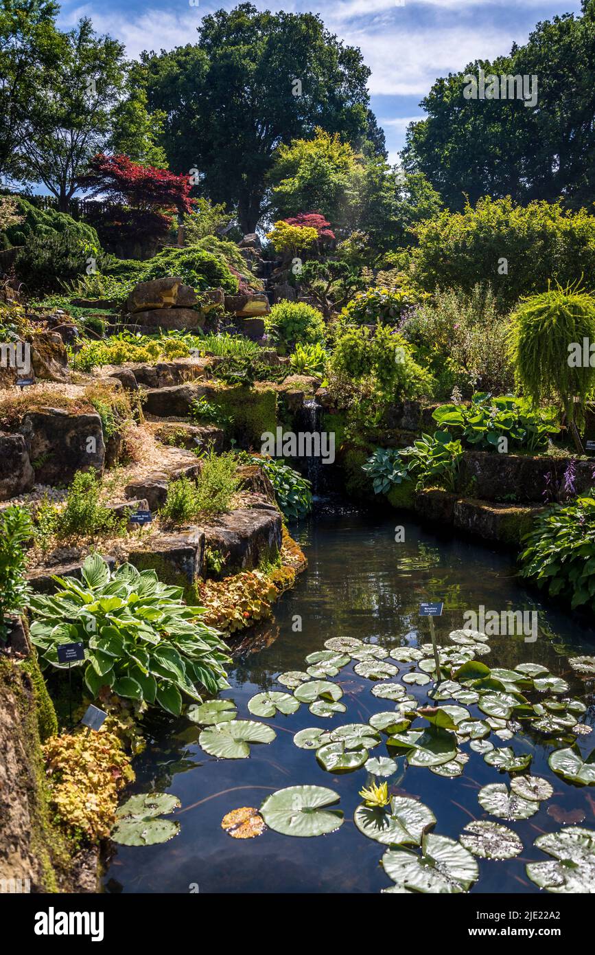 The Rock Garden, RHS Wisley Gardens, Surrey, England, UK Stock Photo ...