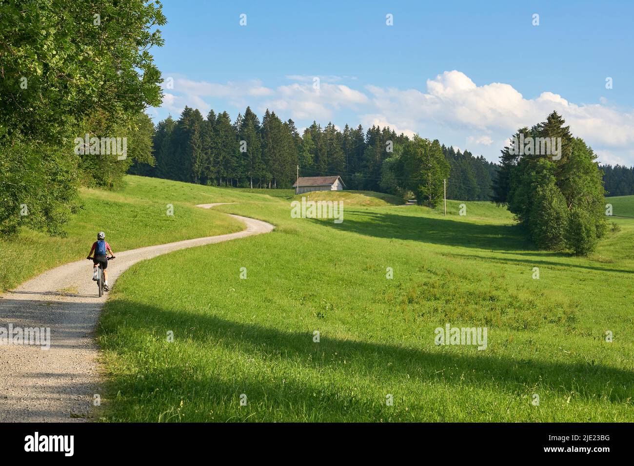 pretty senior woman riding her electric mountain bike in the Allgaeu ...