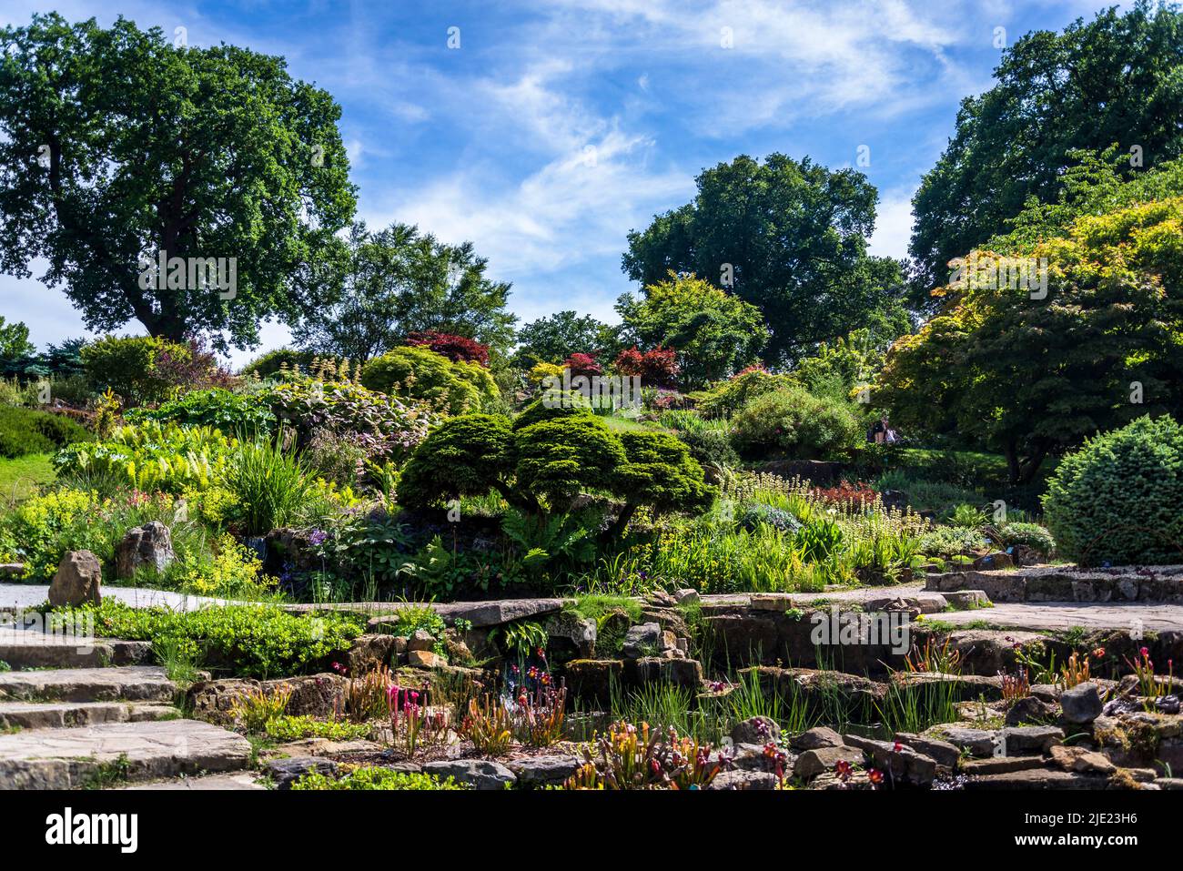 The Rock Garden, RHS Wisley Gardens, Surrey, England, UK Stock Photo ...