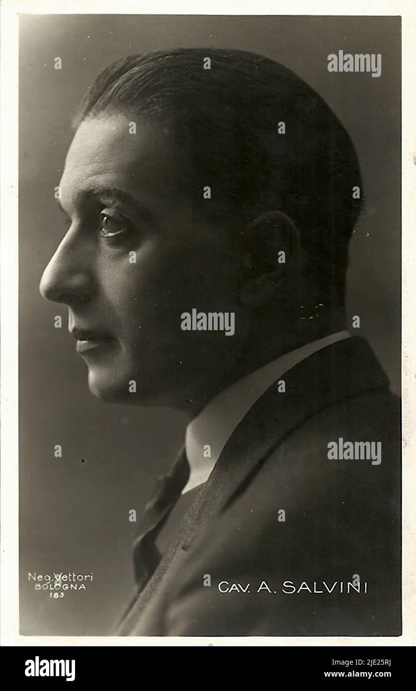 Portrait of Sandro Salvini - Italian silent cinema era actor Stock ...