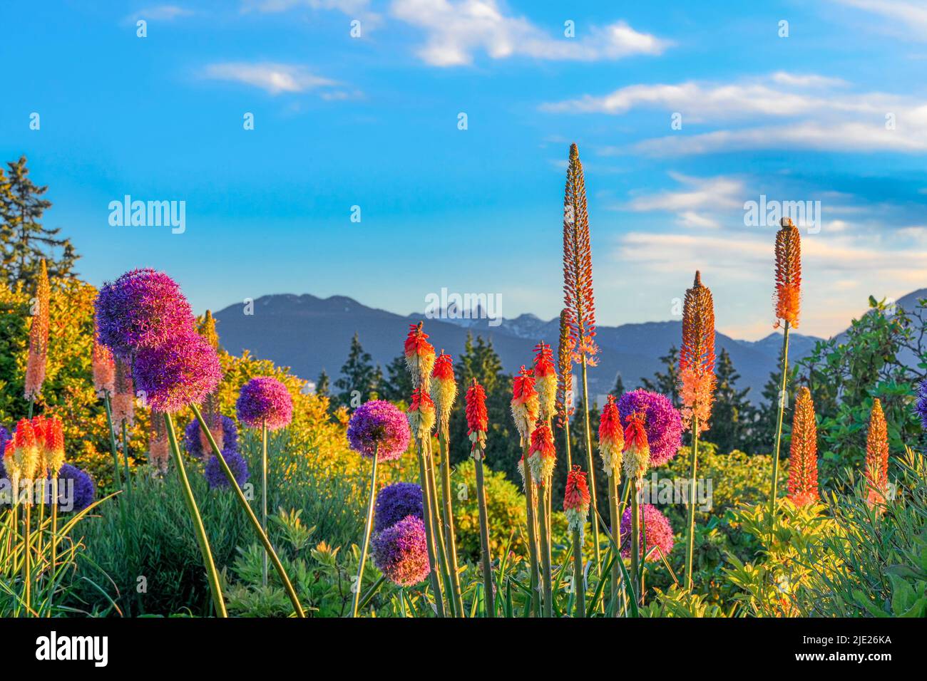Garden, Queen Elizabeth Park, Vancouver, British Columbia, Canada Stock ...