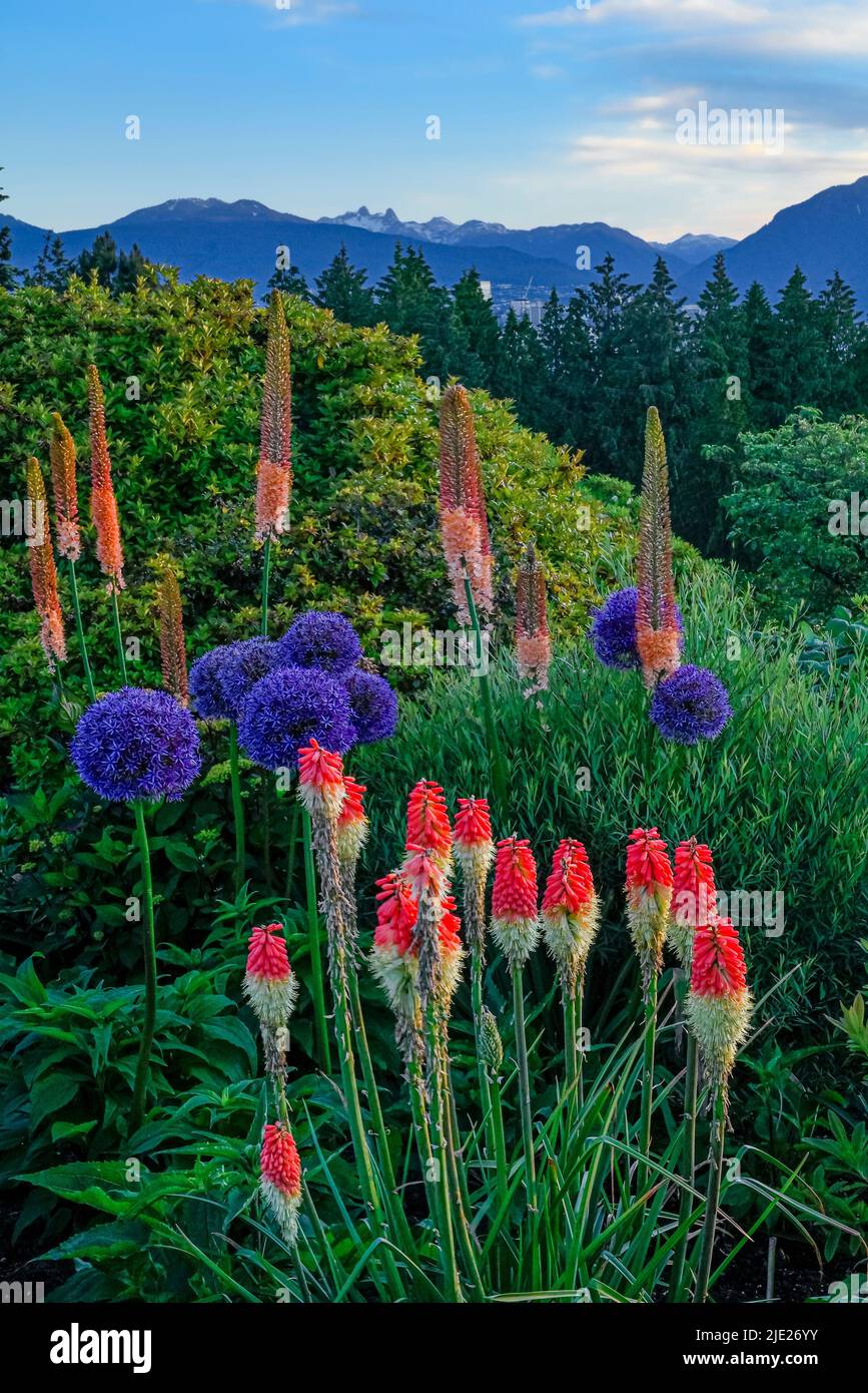 Garden, Queen Elizabeth Park, Vancouver, British Columbia, Canada Stock ...