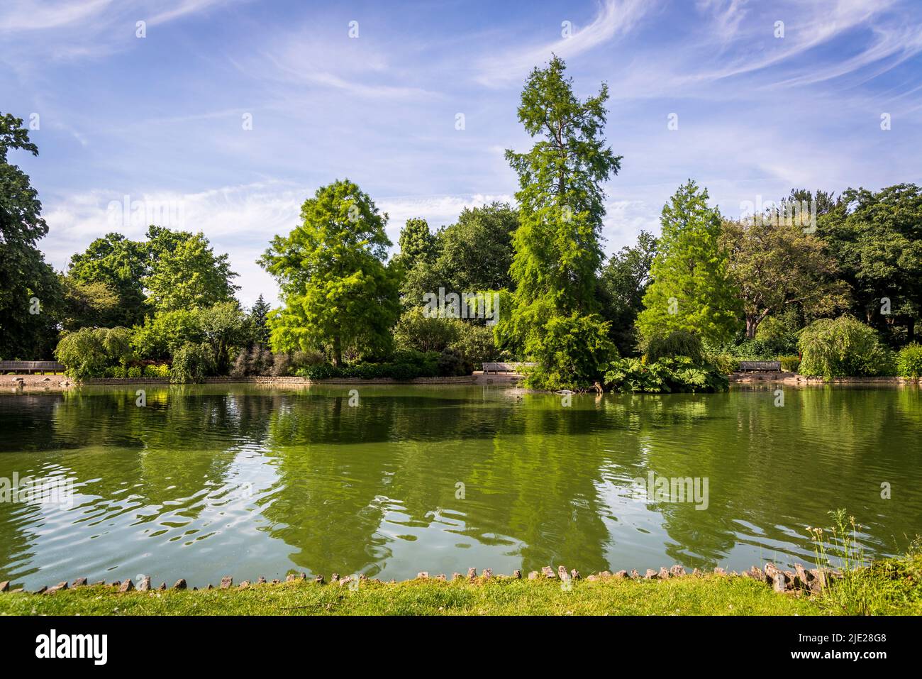 Lake at the Seven Acres, Wisley Garden, Surrey, UK Stock Photo - Alamy