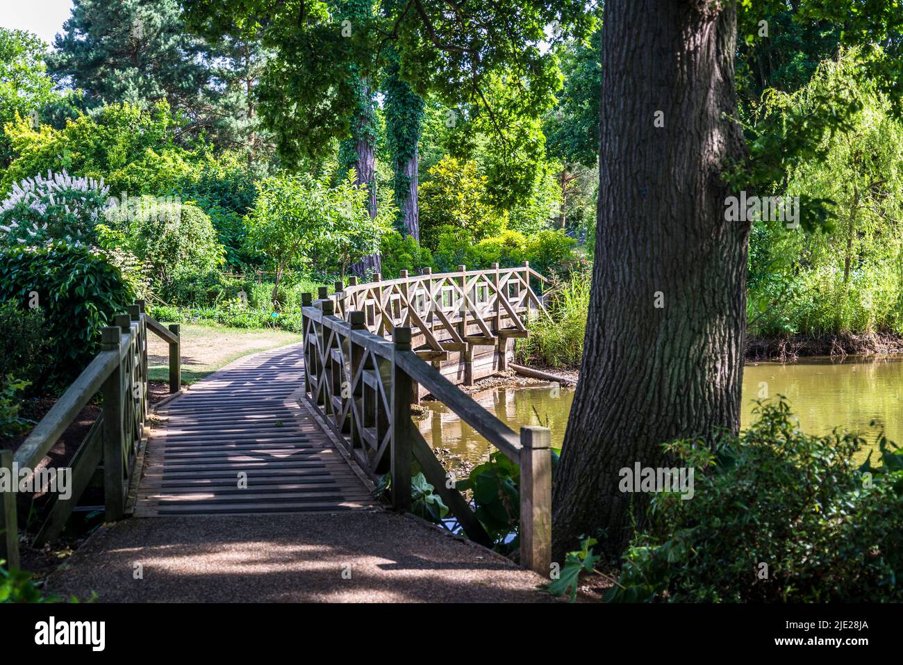 Lake at the Seven Acres, Wisley Garden, Surrey, UK Stock Photo - Alamy