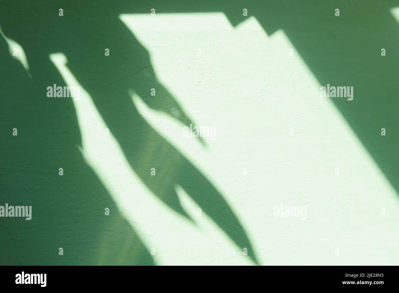 Shadow background green trend, for product presentation, background and ...