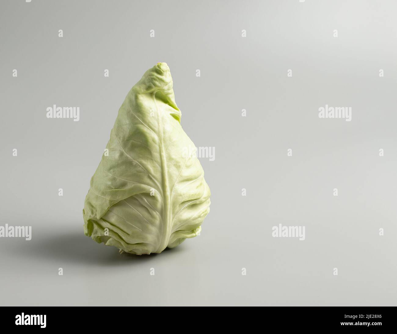 Cone head cabbage for dietary, vegan on a grey background, restaurant ...