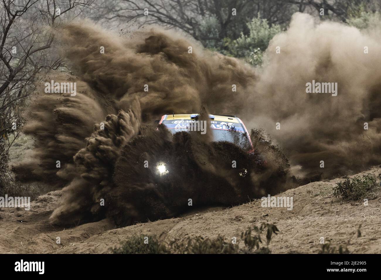 02 SOLBERG Olivier (swe), EDMONDSON Elliot (gbr), Hyundai Shell Mobis ...