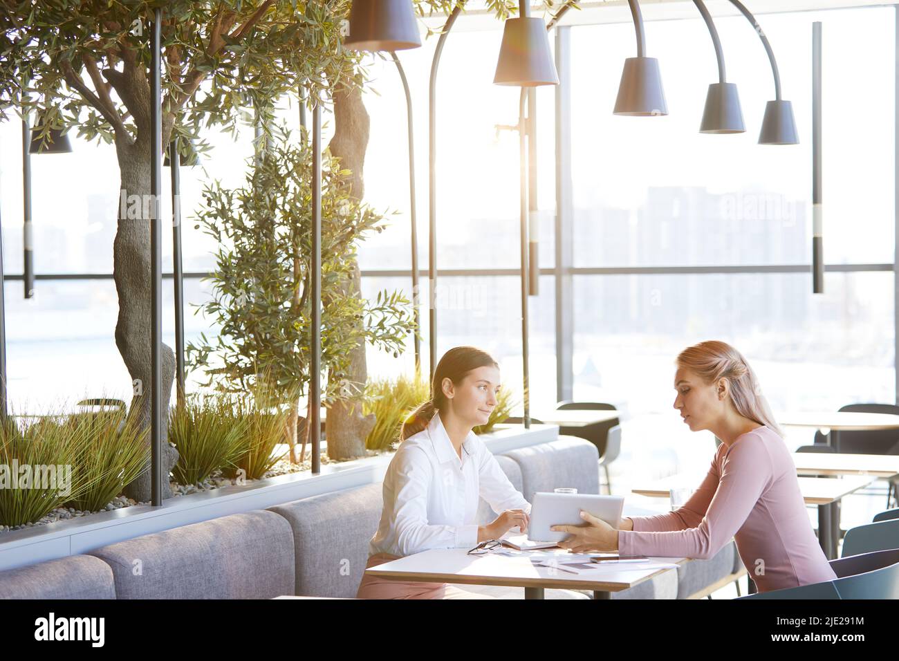 Busy young business ladies sitting at table in modern cafe with ...
