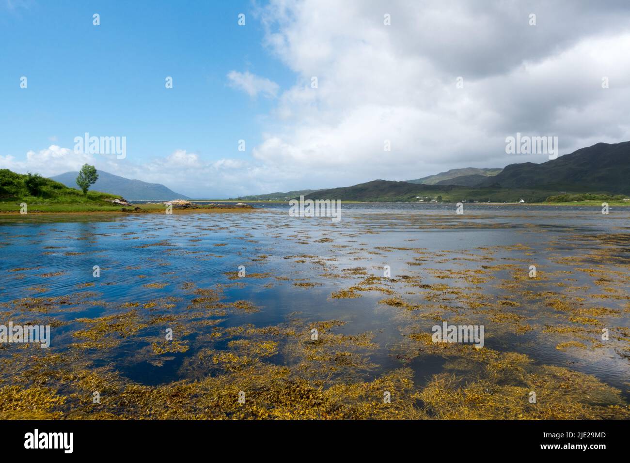 Loch long castle hi-res stock photography and images - Alamy