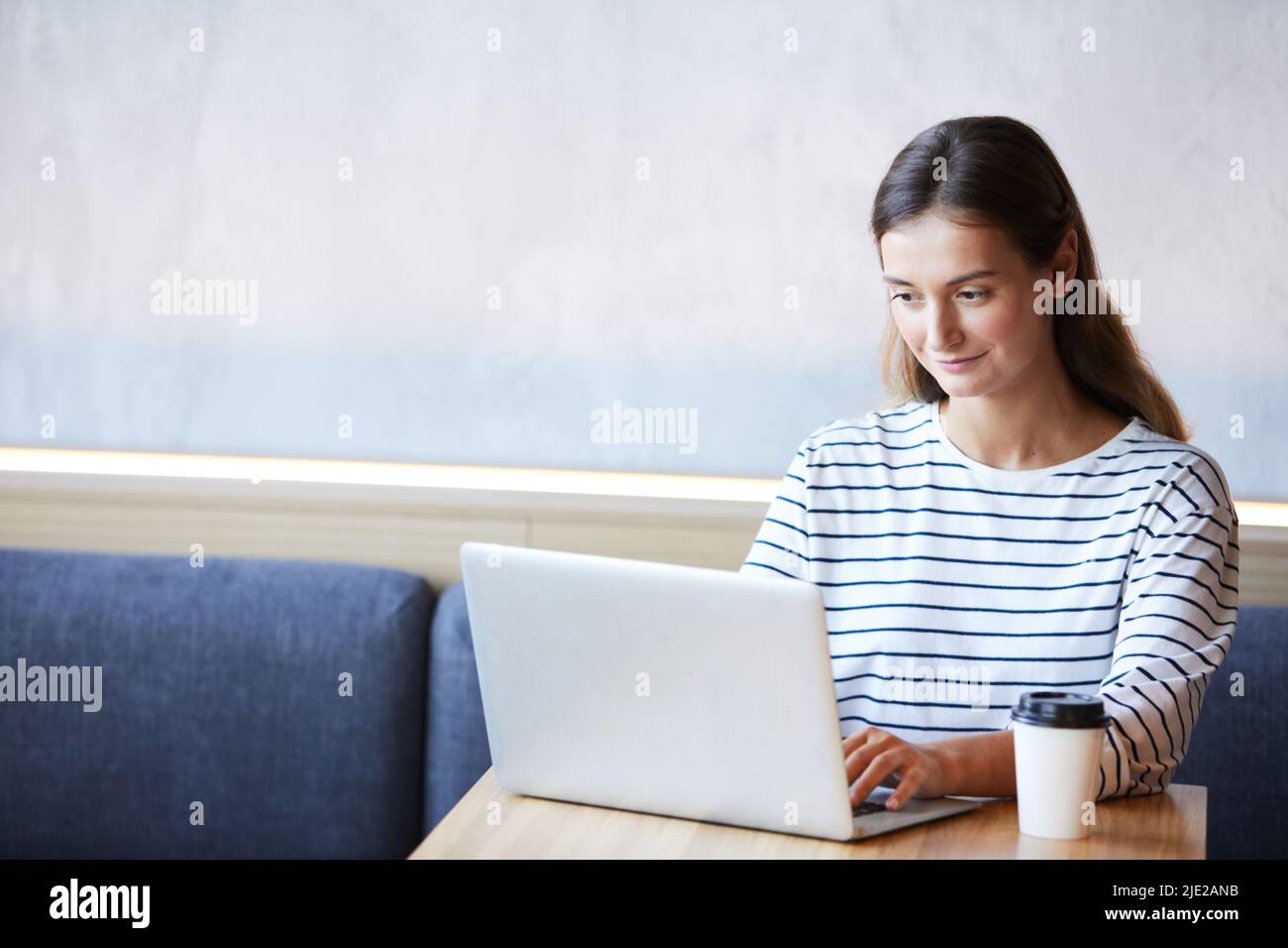 Content busy young woman in casual sweater sitting at table in coffee ...