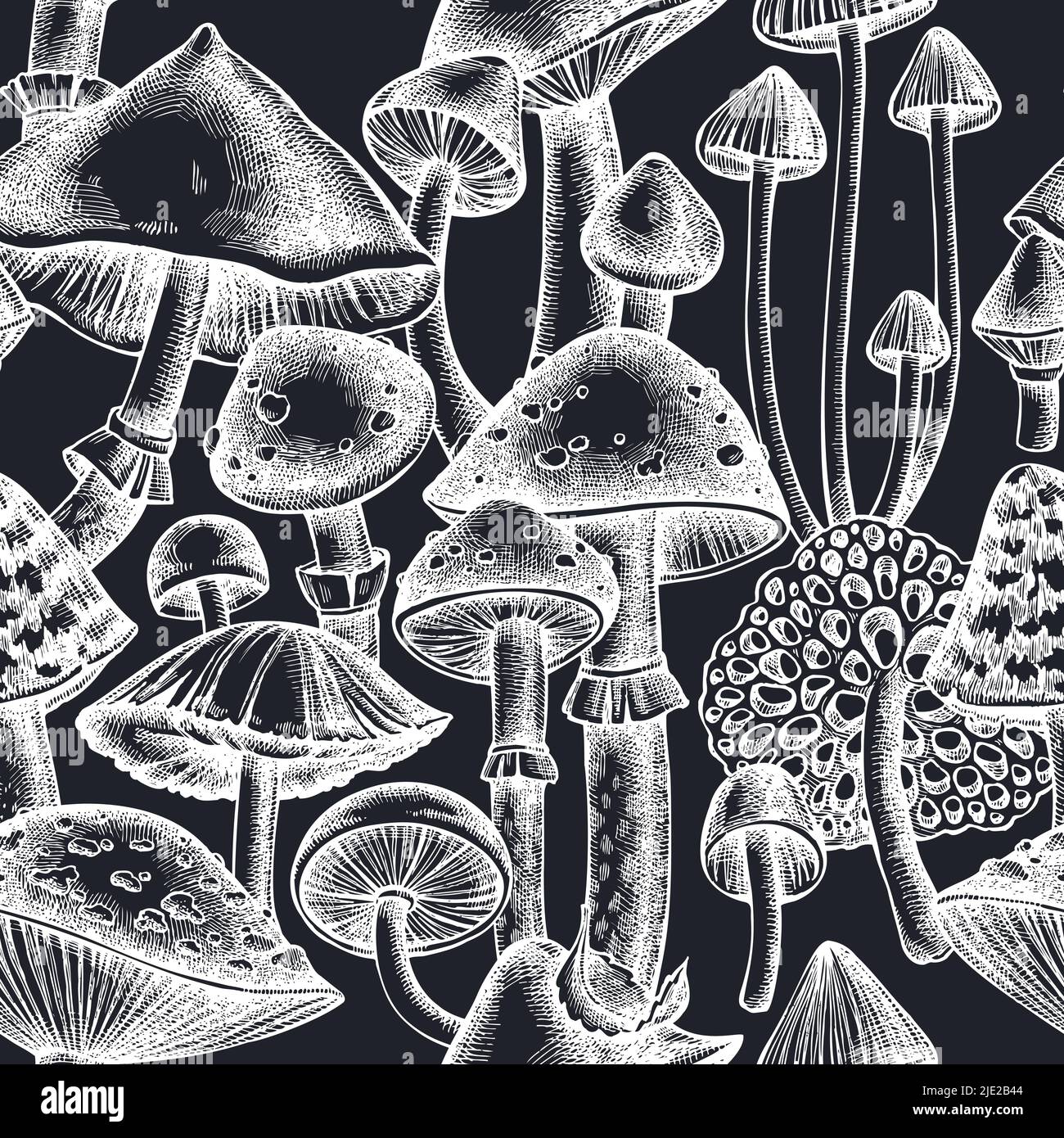 Forest mushrooms seamless pattern background design. Engraved style ...