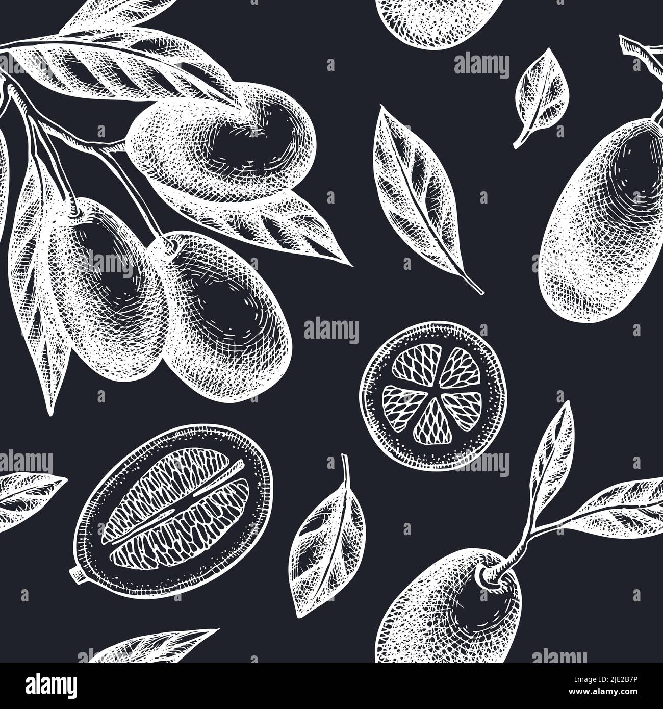 Citrus seamless pattern background design. Engraved style. Hand drawn kumquat Stock Vector Image ...