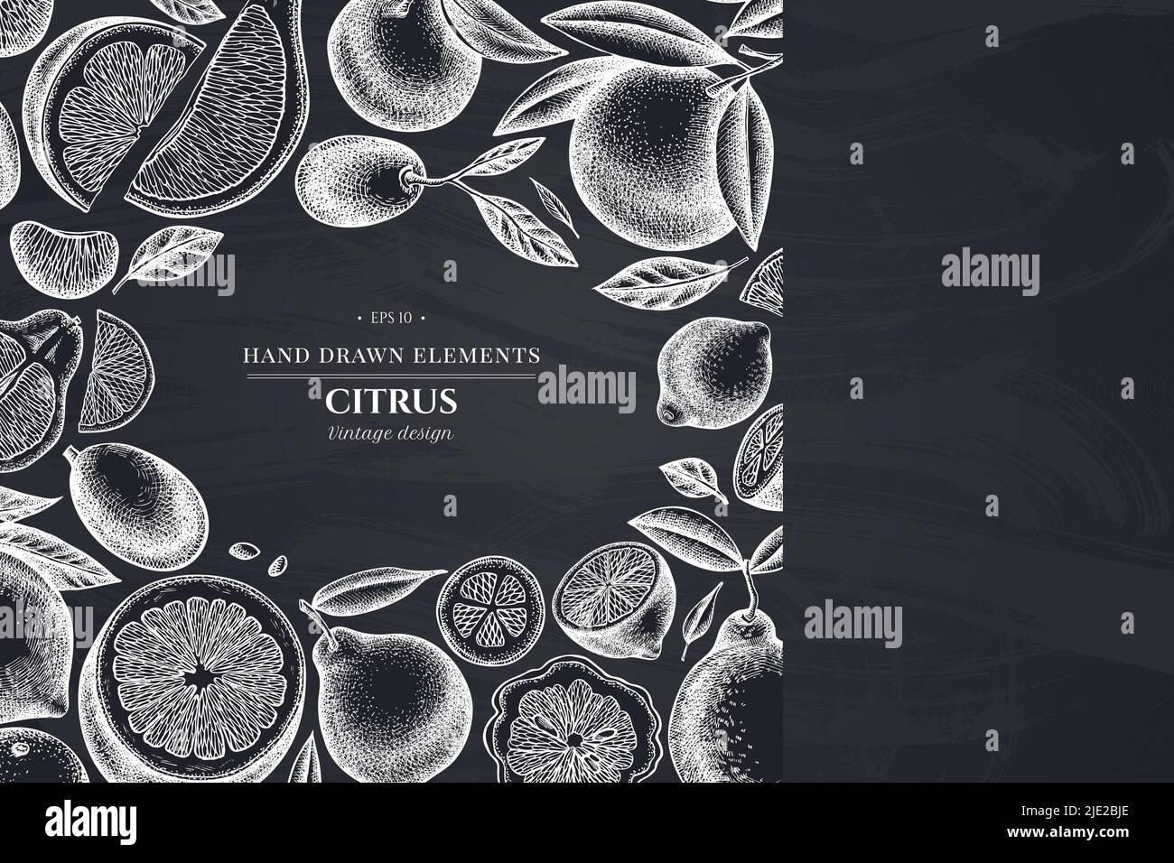 Citrus hand drawn illustration design. Background with chalk kumquat ...