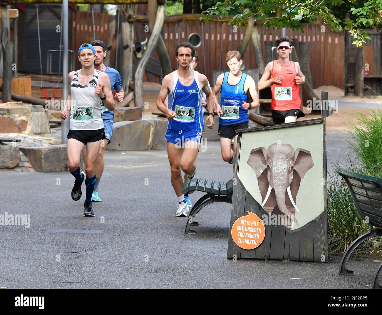 Cologne, Germany. 24th June, 2022. Athletes run at the zoo. At the ...