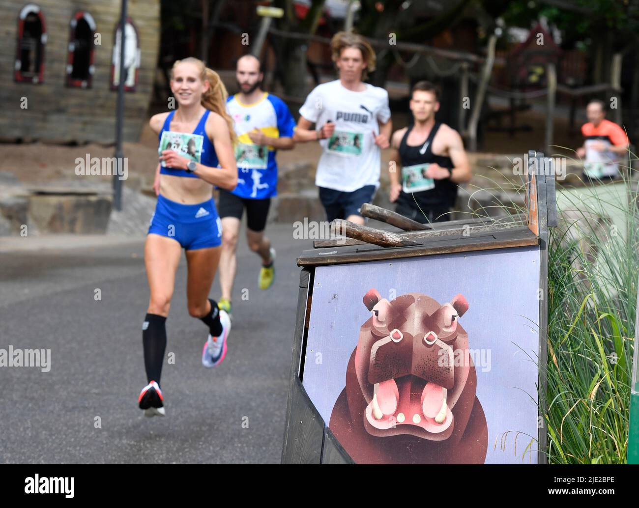 Cologne, Germany. 24th June, 2022. Athletes run at the zoo. At the ...