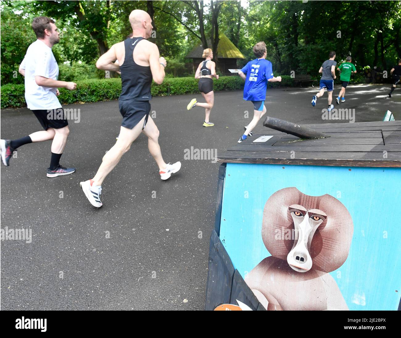 Cologne, Germany. 24th June, 2022. Athletes run at the zoo. At the ...
