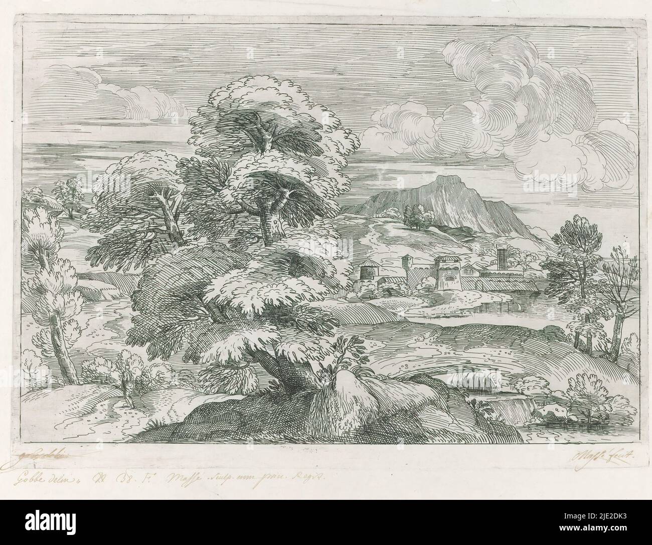 Bonzi tree hi-res stock photography and images - Alamy