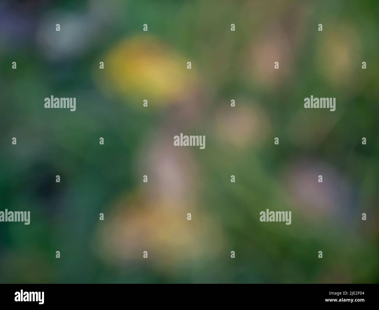 Abstract green defocused background. Wallpaper image art Stock Photo ...