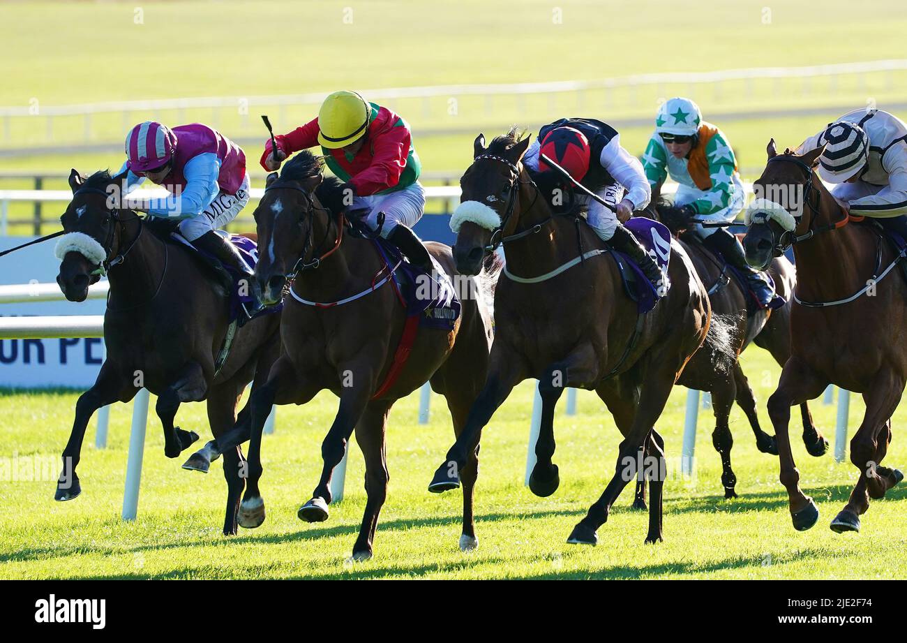 Dunum horse hi-res stock photography and images - Alamy