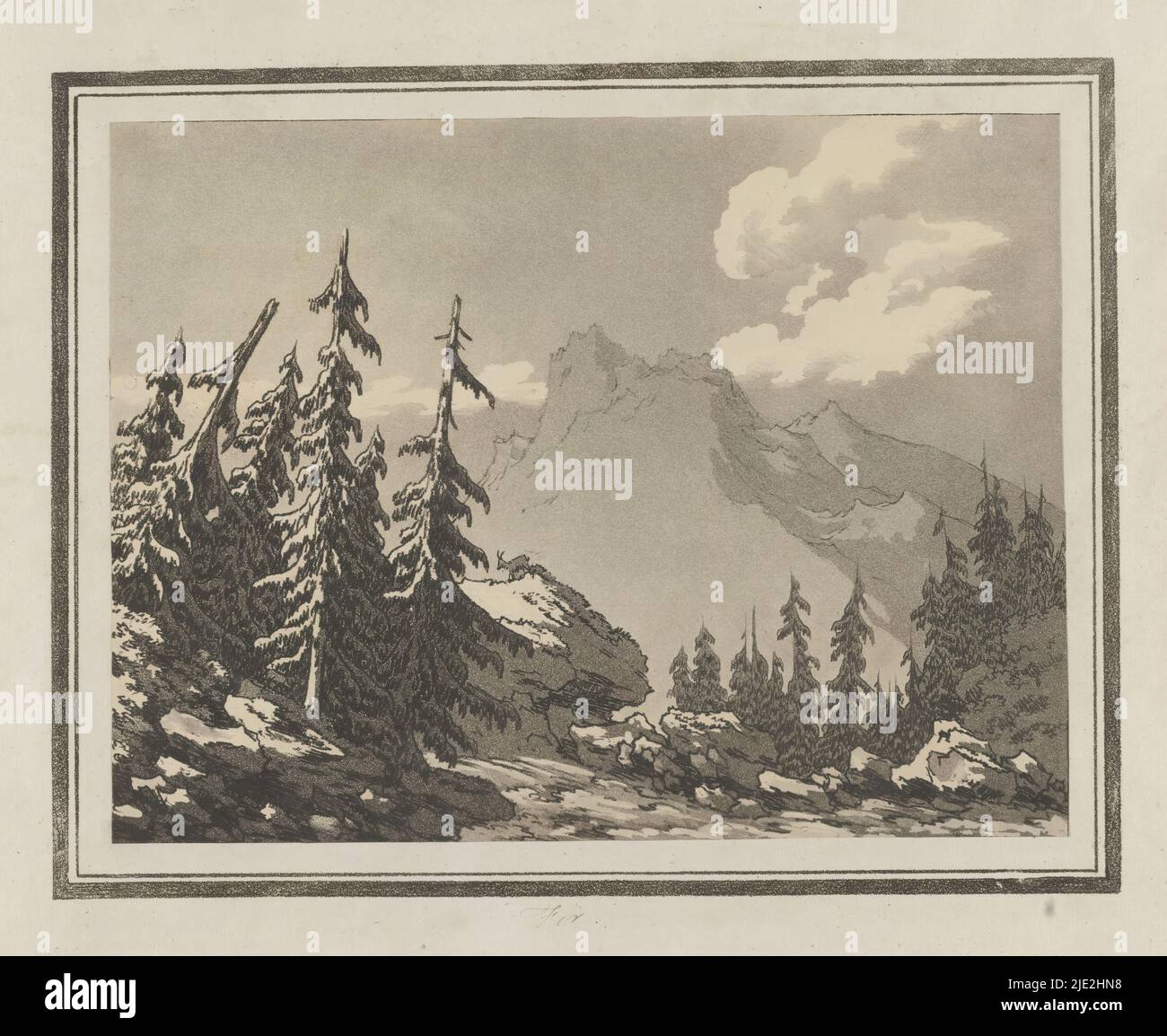 Different types from height hi-res stock photography and images - Alamy