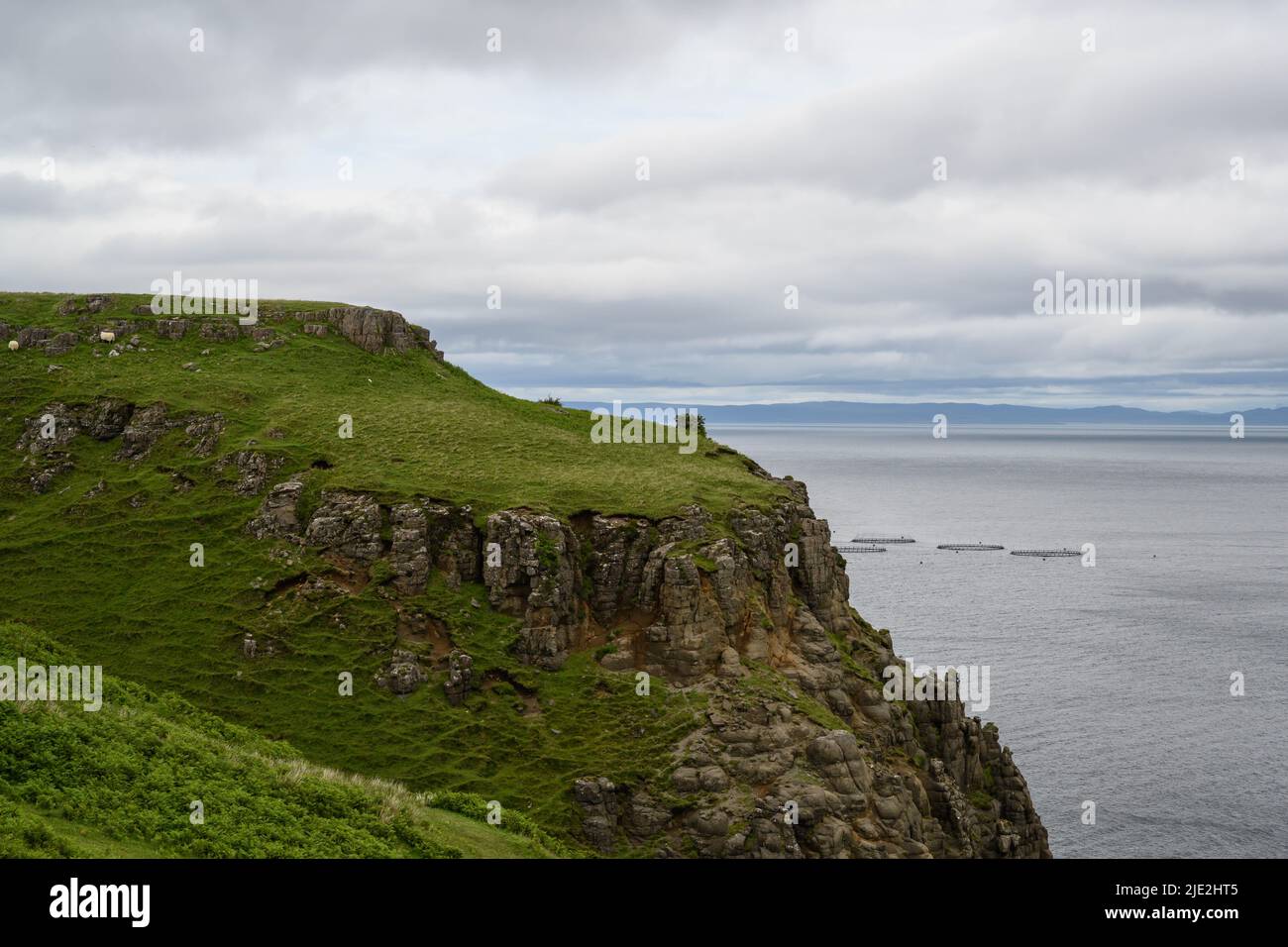 Green scenery on coastline scotland hi-res stock photography and images ...