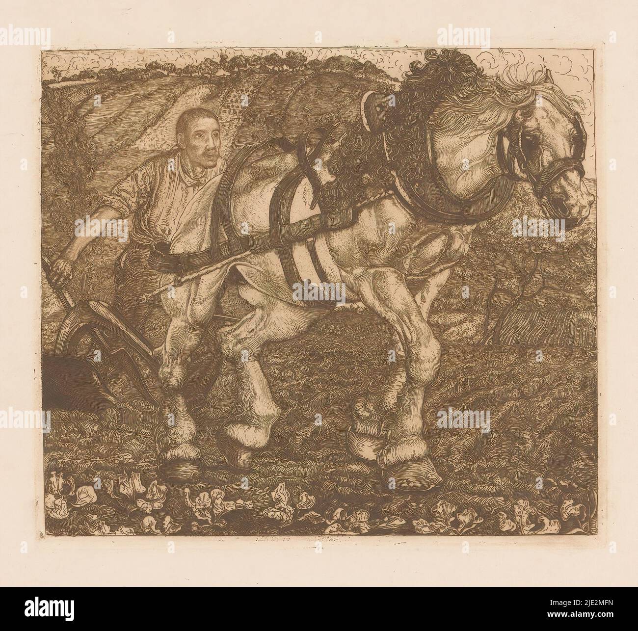 Farmer with horse and plow, In the background a river, possibly the ...