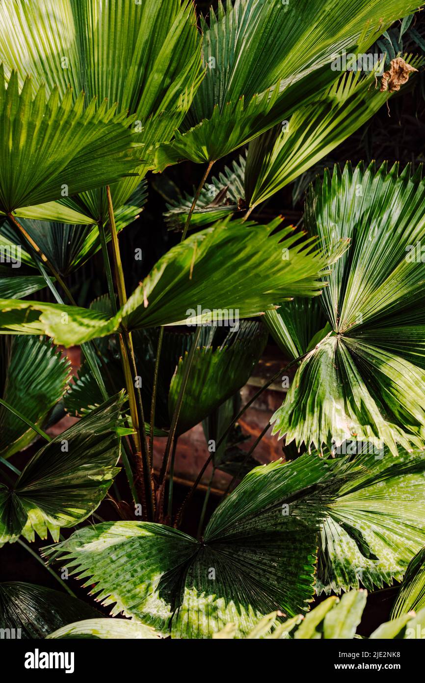Arboretum greenhouse hi-res stock photography and images - Alamy