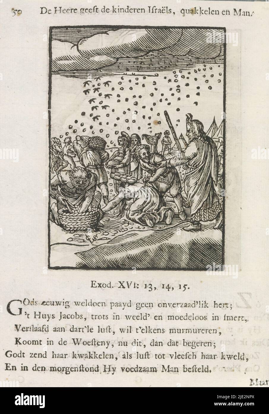 Gathering the manna, The Lord gives the children of Israel, quails and ...