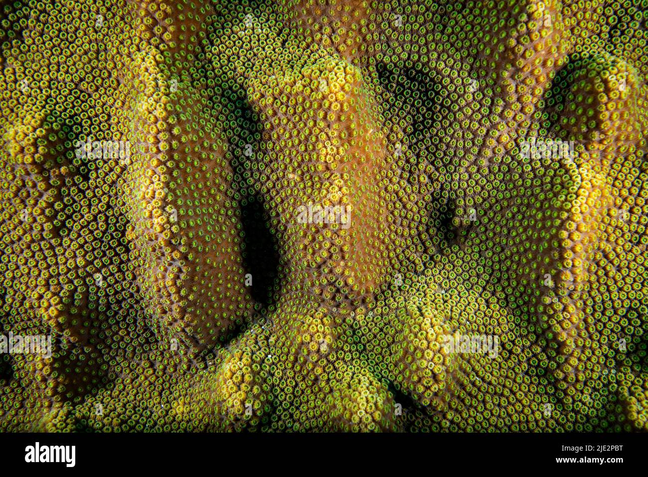 Island texture hi-res stock photography and images - Alamy