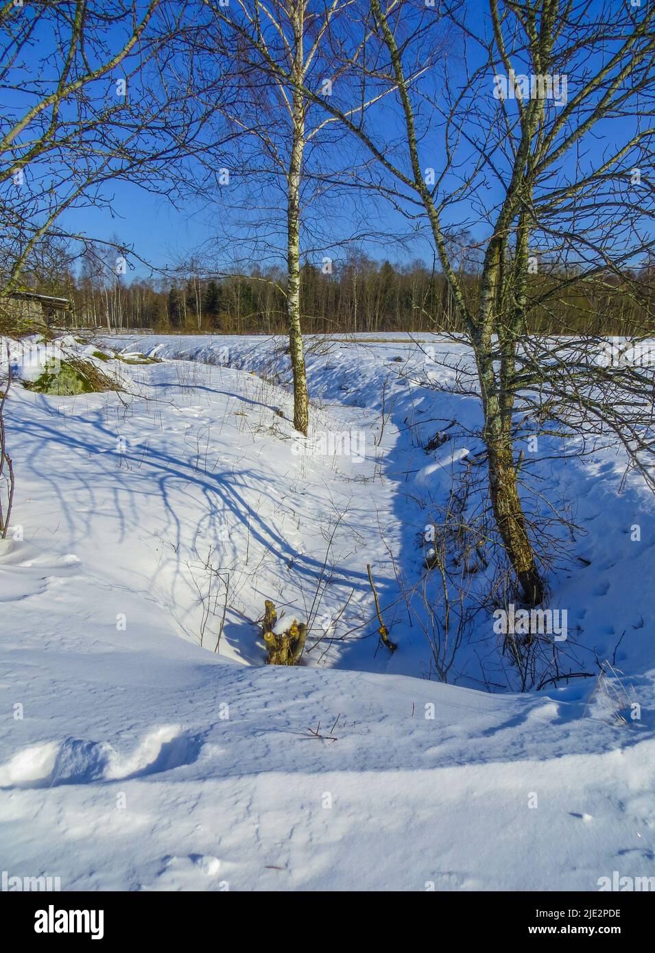 High arctic desert covered hi-res stock photography and images - Alamy