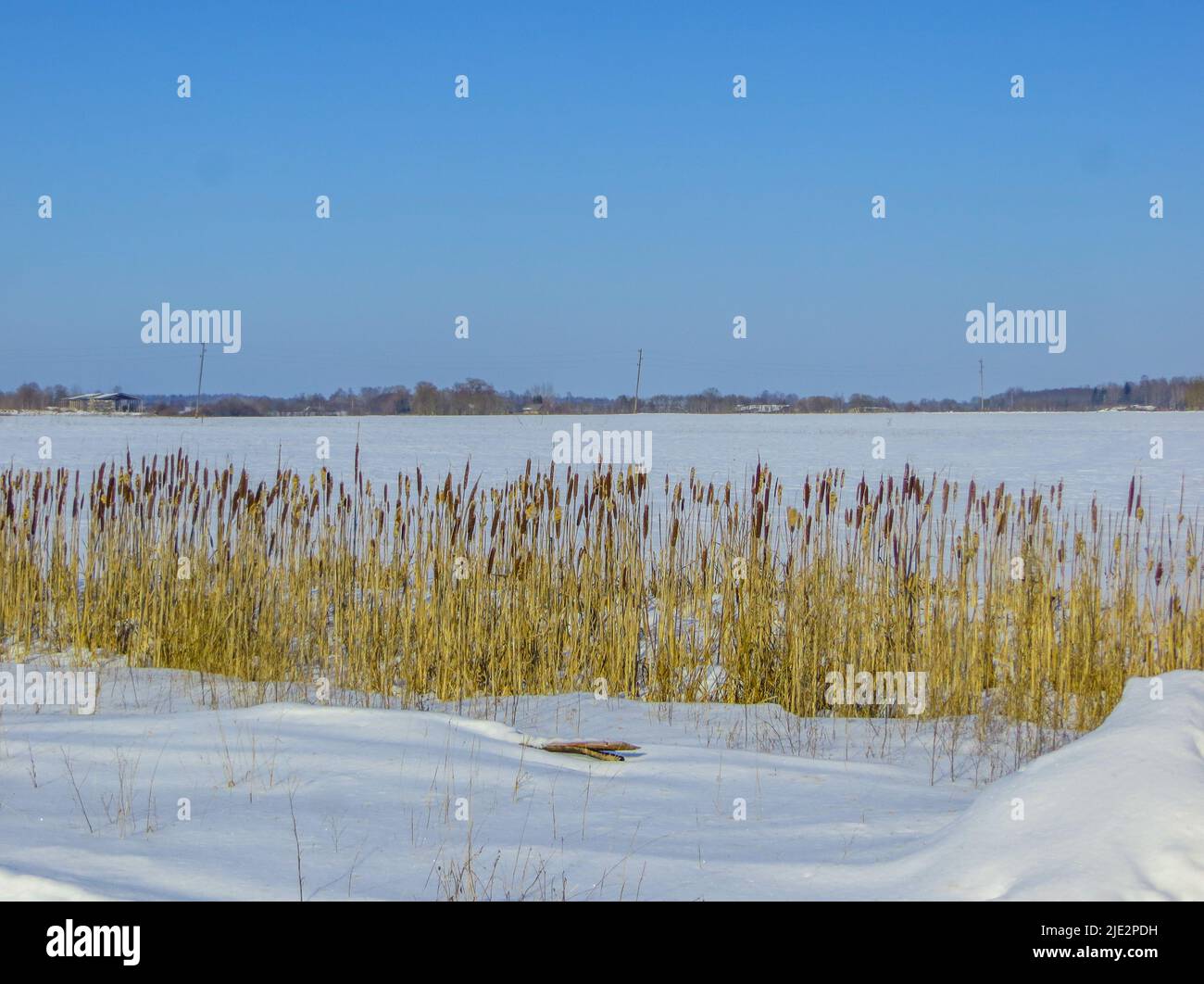 High arctic desert covered hi-res stock photography and images - Alamy