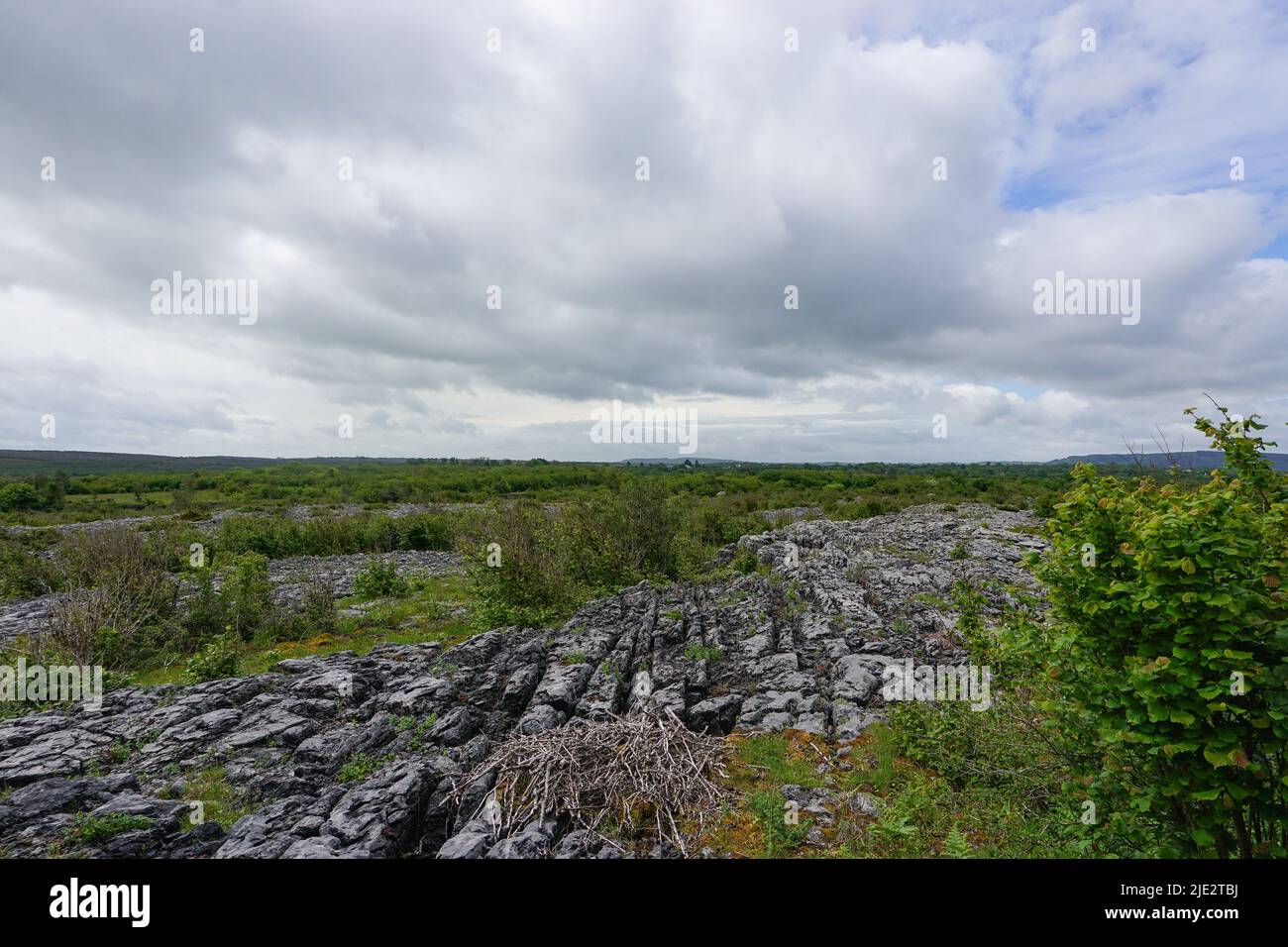 Burren National Park, Co. Clare, Ireland: The Burren (“rocky place ...