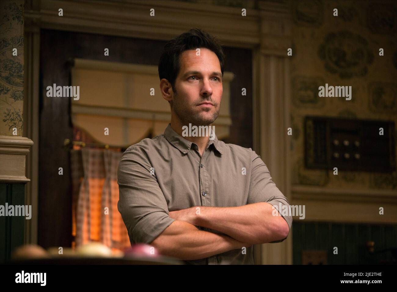 Paul rudd ant man hi-res stock photography and images - Alamy