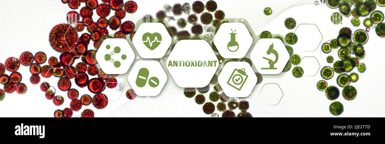 Pigment rich hi-res stock photography and images - Alamy