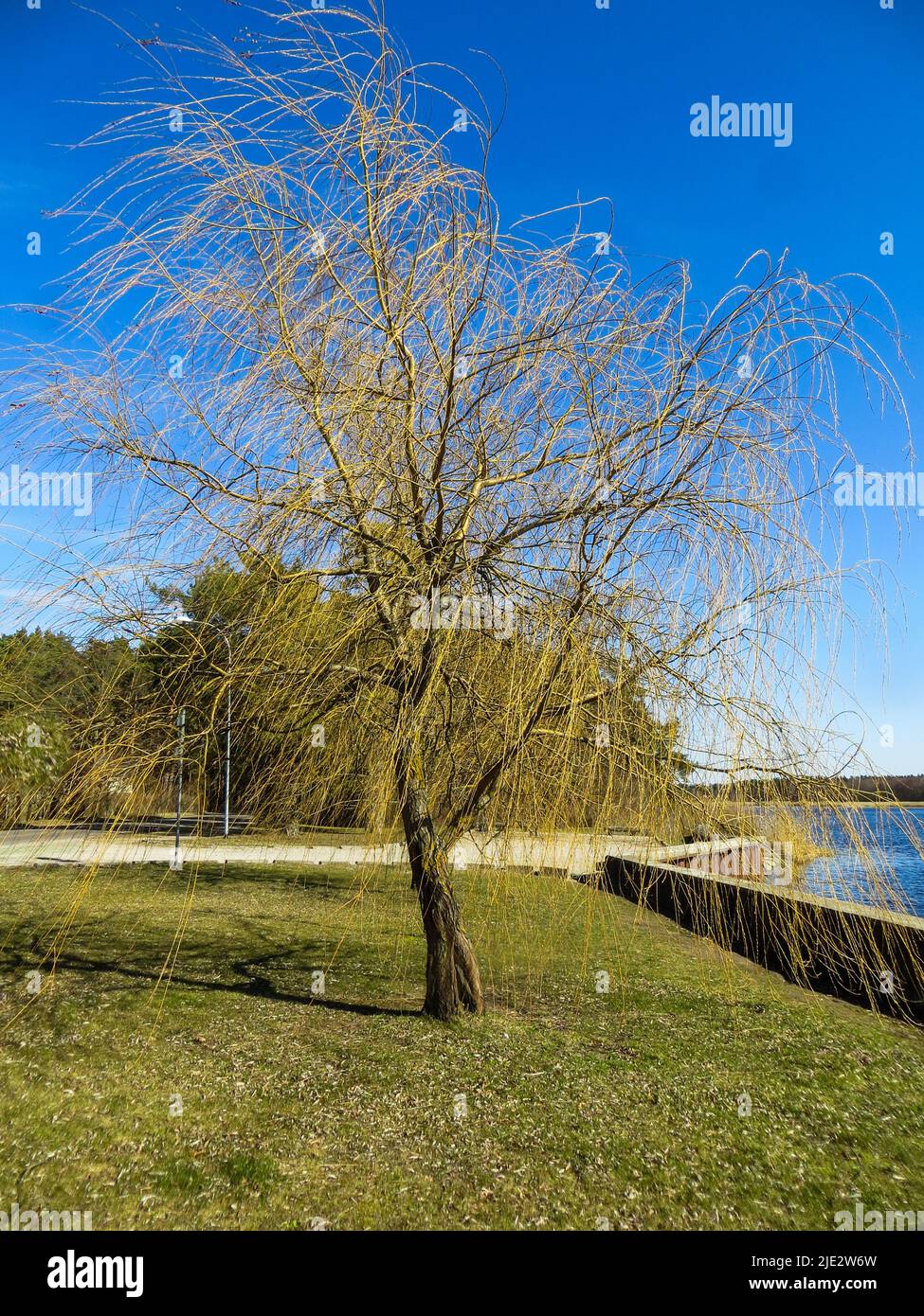 Dark blue water on the Lielupe River in Latvia in early spring ...