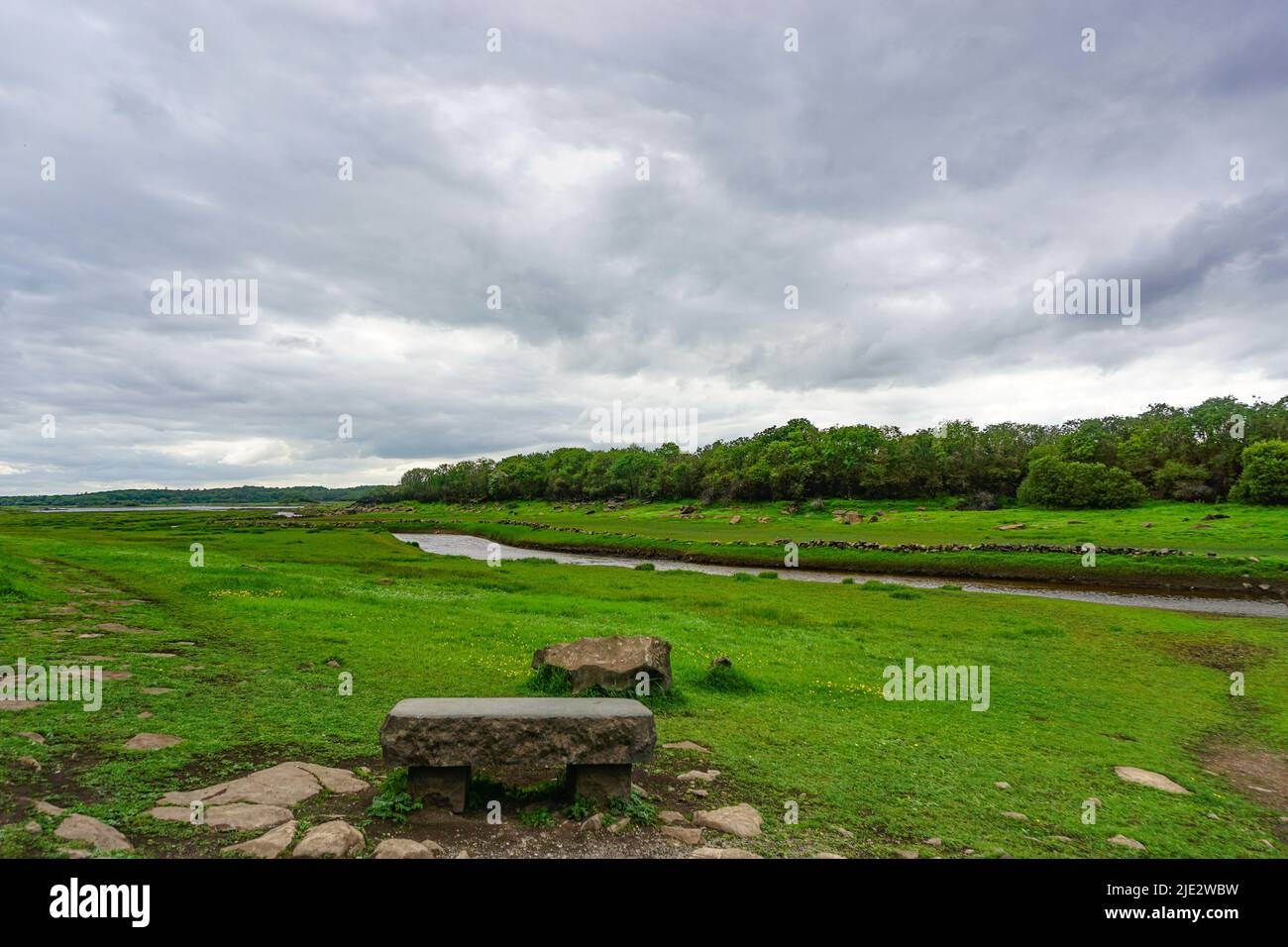 Gort, Co. Galway, Ireland: Coole Park Nature Reserve, with a view of ...